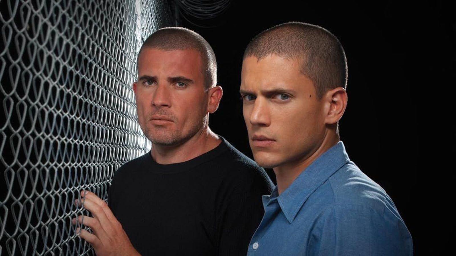 How many seasons of Prison Break are there?